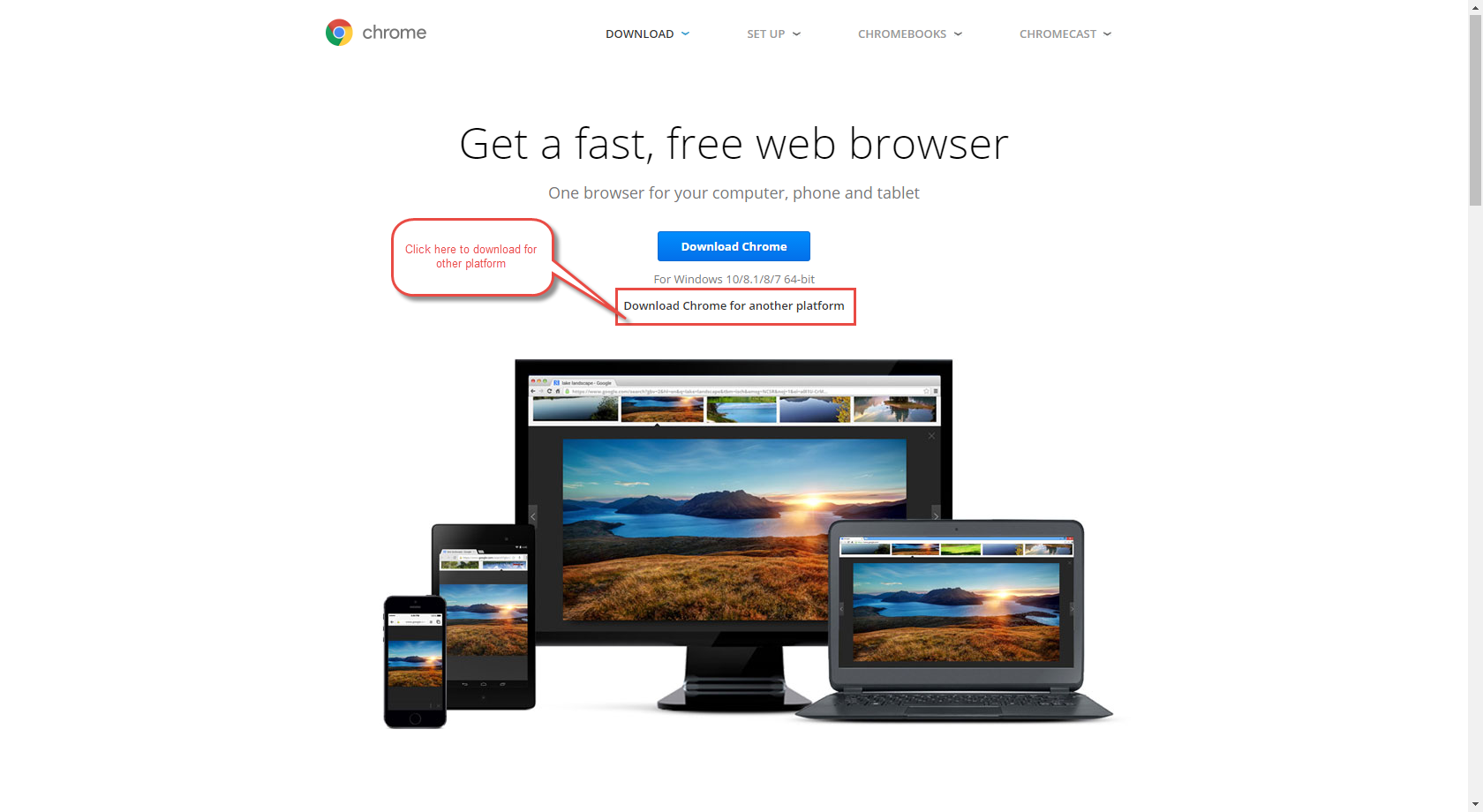 Browser recommendation - GOOGLE CHROME – TotalMilk